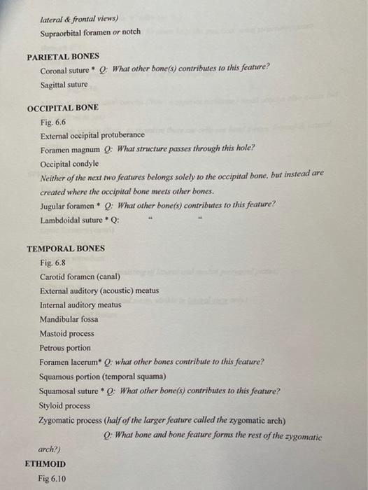 Solved Lab Activities #6-9 AXIAL SKELETON APPENDICULAR | Chegg.com