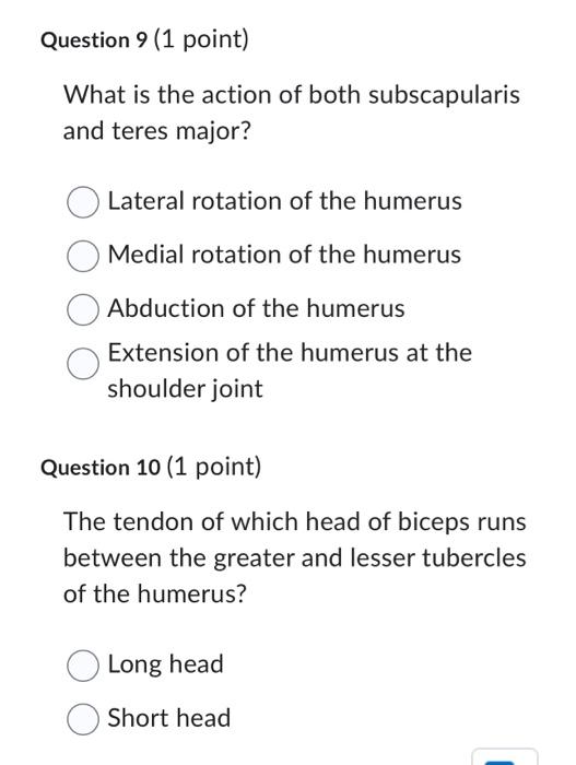 Solved What is the action of both subscapularis and teres | Chegg.com