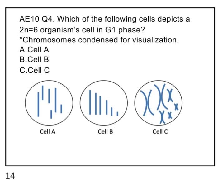 Solved AE10 Q4. Which of the following cells depicts a 2n=6 | Chegg.com