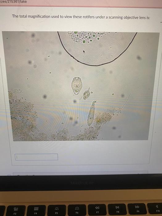 Solved czes/215361/take The total magnification used to view | Chegg.com