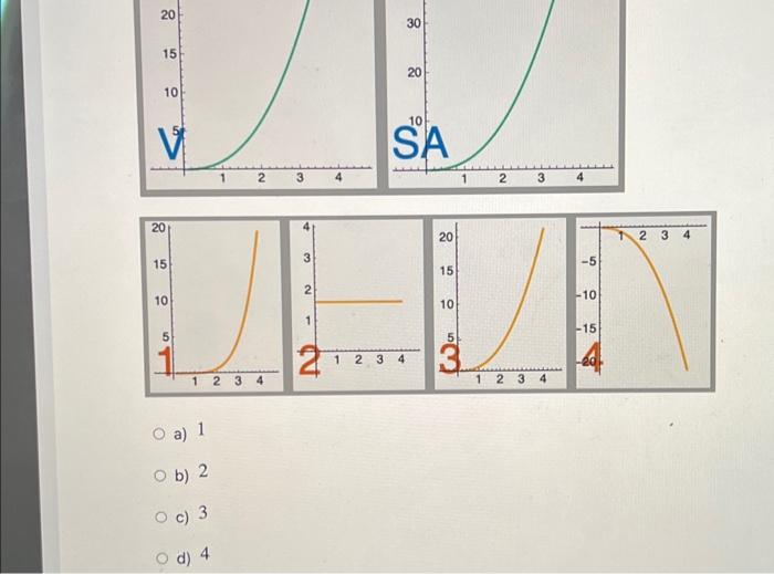 Solved Which of the following graphs best represents the | Chegg.com