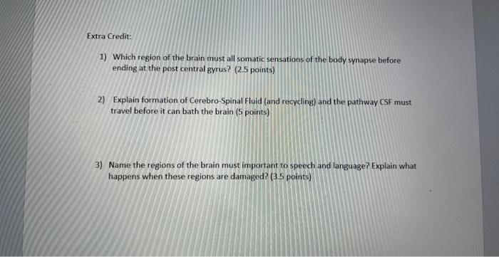 Solved Extra Credit: 1) Which region of the brain must all | Chegg.com