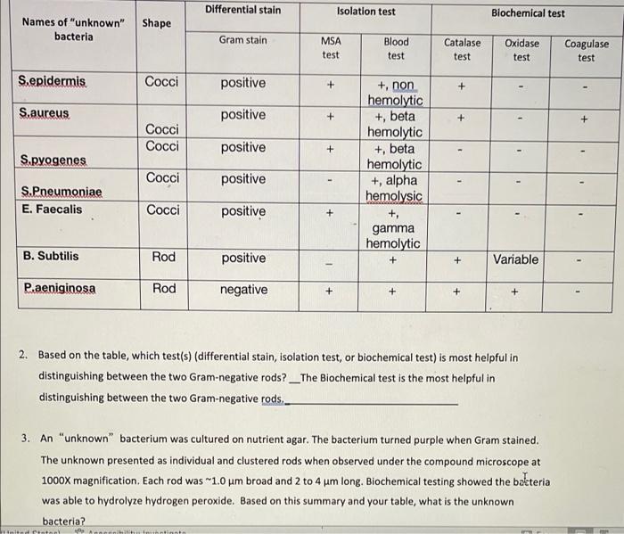 solved-differential-stain-names-of-unknown-bacteria-gram-chegg