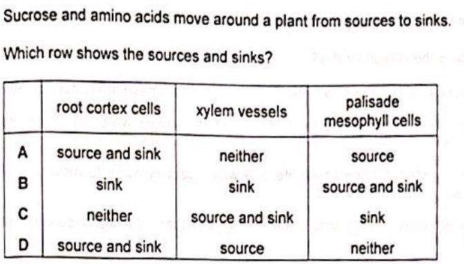 Solved Sucrose and amino acids move around a plant from | Chegg.com