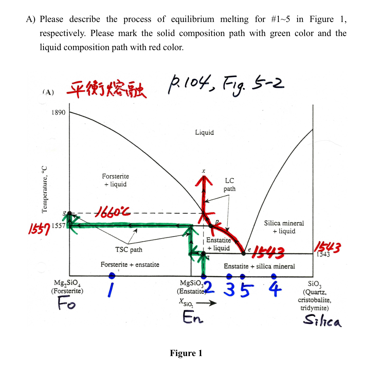 Solved A) ﻿Please describe the process of equilibrium | Chegg.com