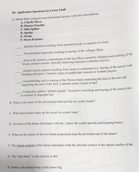 Solved III. Application Questions for Lower Limb A. Match | Chegg.com