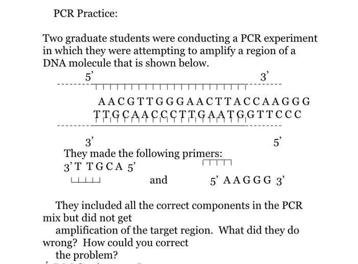Solved PCR Practice: Two graduate students were conducting a | Chegg.com