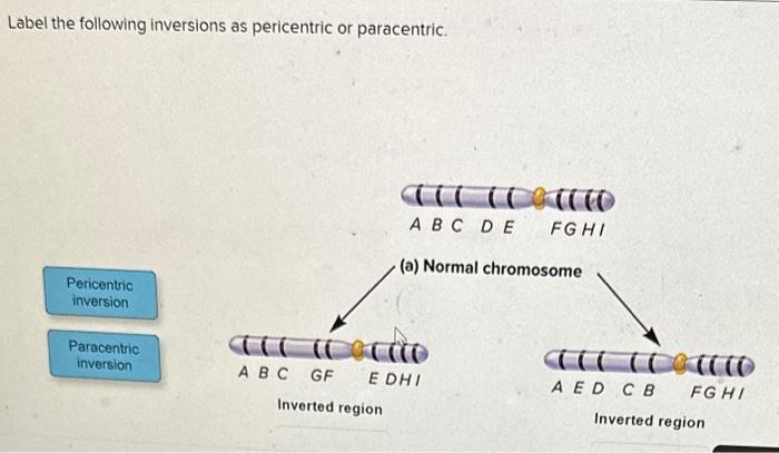 Solved Required information Read the overview and complete | Chegg.com