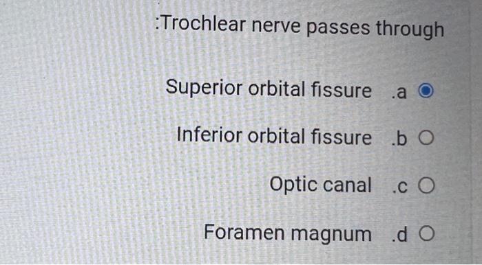 Solved :Trochlear nerve passes through Superior orbital | Chegg.com