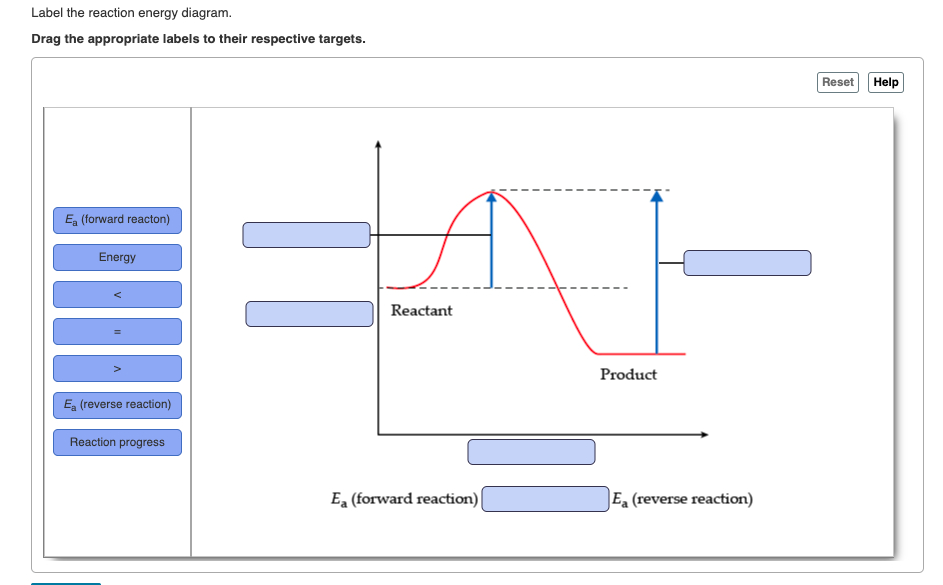 Solved Label the reaction energy diagram.Label the reaction | Chegg.com