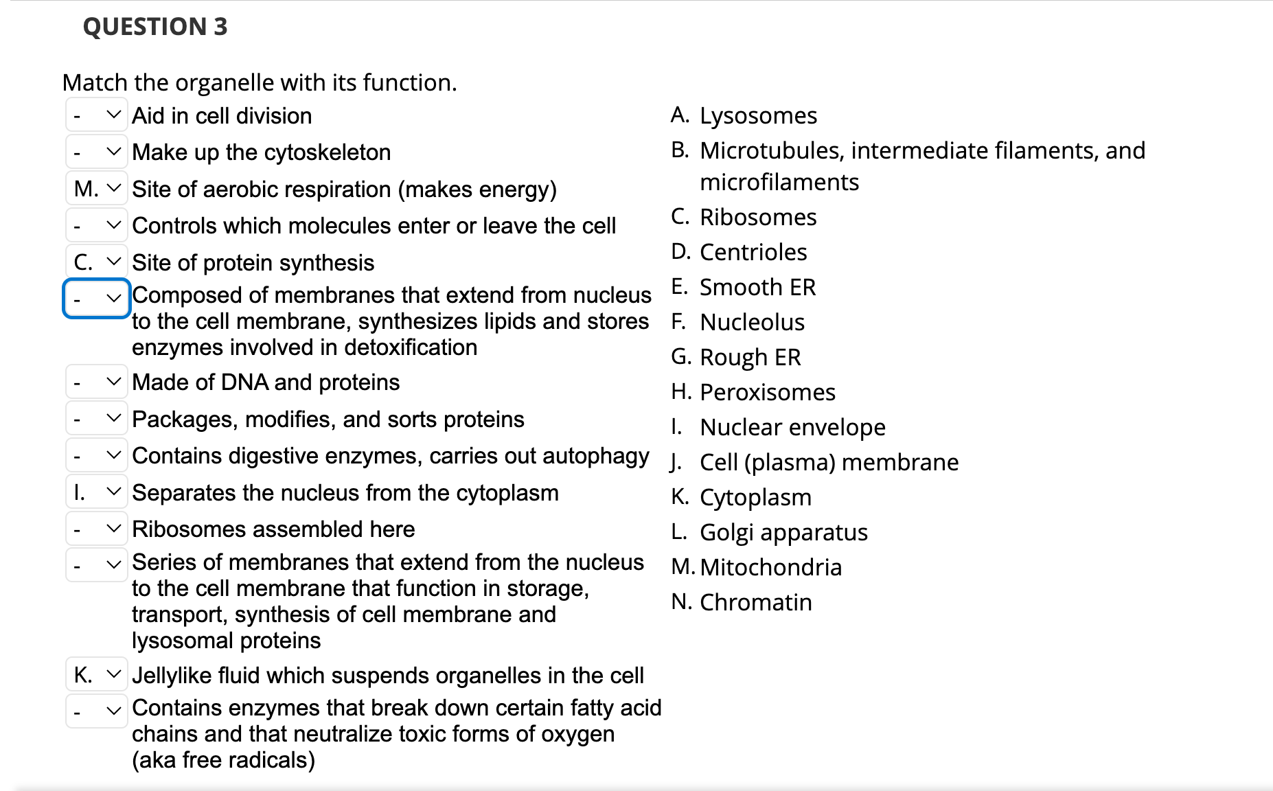 Solved tend from nucleus to the cell membrane, synthesizes | Chegg.com