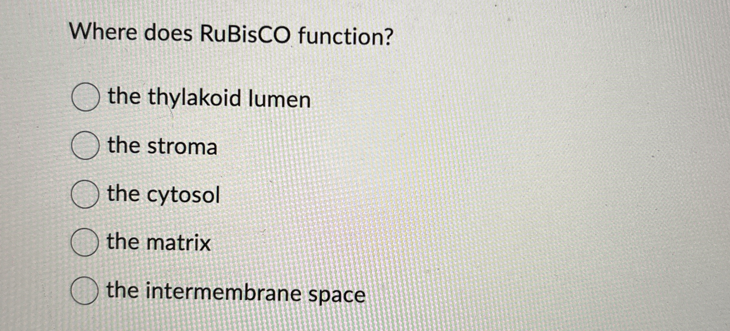 Solved Where does RuBisCO function?the thylakoid lumenthe | Chegg.com
