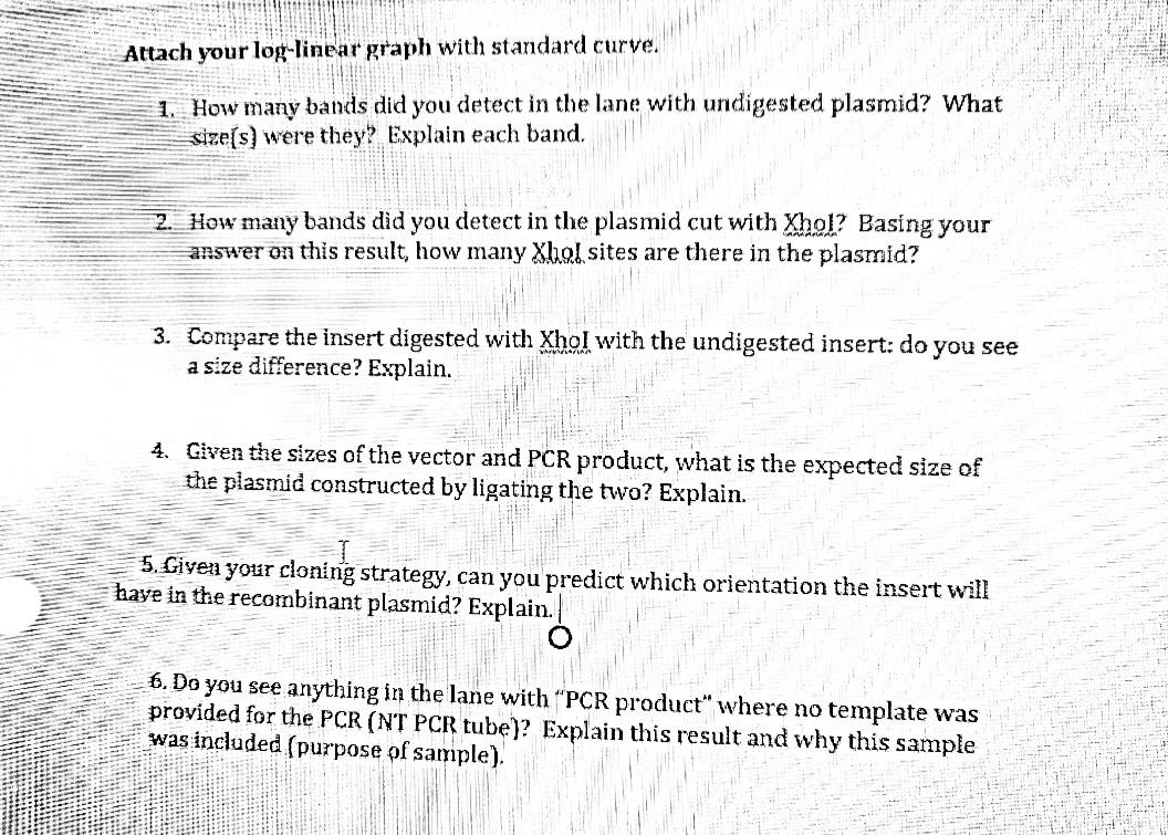 Solved Attach your log-linear graph with standard curve. 1. | Chegg.com
