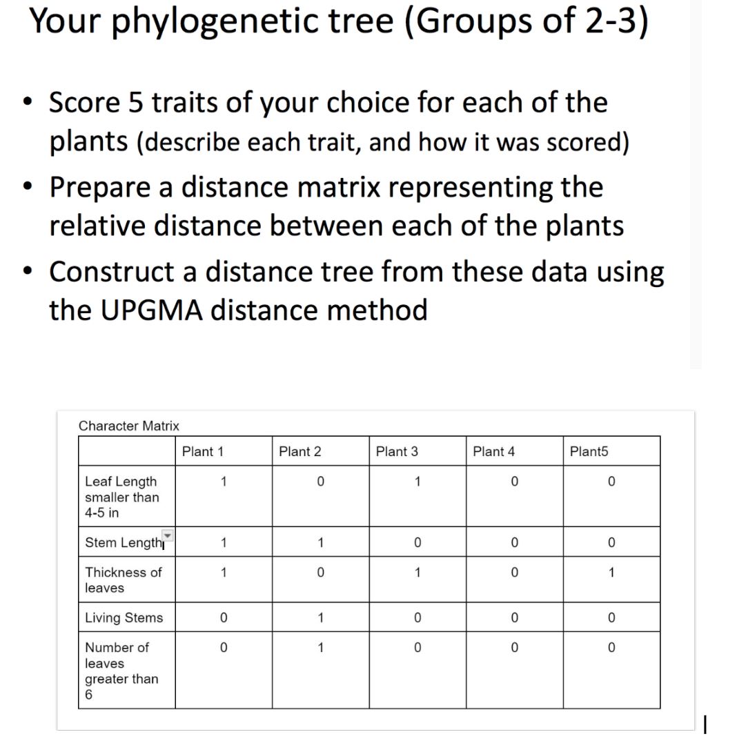 Solved Your phylogenetic tree (Groups of 2-3)Score 5 ﻿traits | Chegg.com