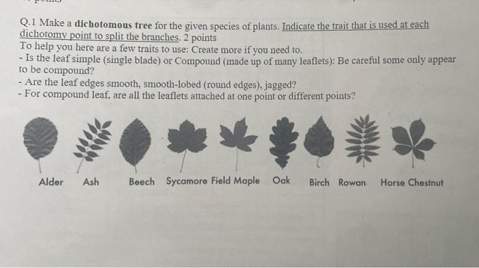 Solved Q.1 Make a dichotomous tree for the given species of | Chegg.com