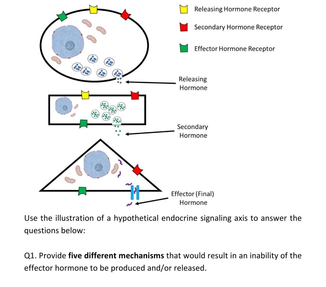 Solved g axis to answer the : in an inability of the | Chegg.com