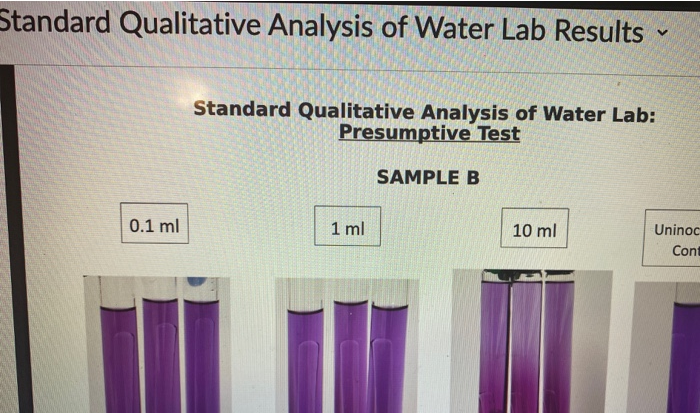Standard Qualitative Analysis of Water Lab Results | Chegg.com