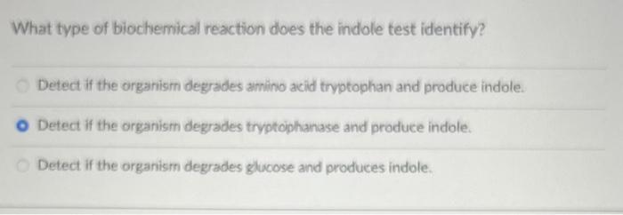 Solved What type of biochemical reaction does the indole | Chegg.com