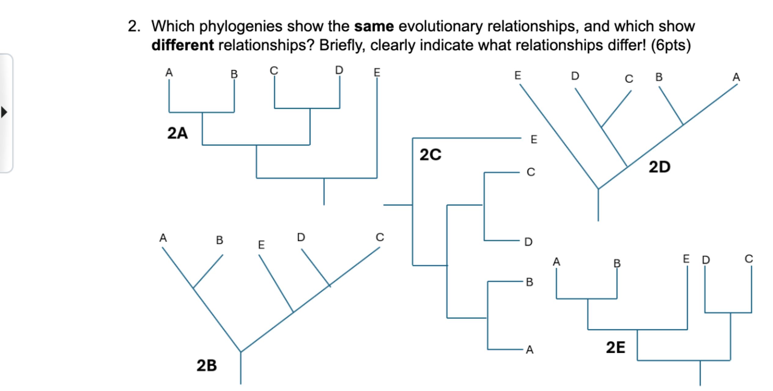 Solved Which phylogenies show the same evolutionary | Chegg.com