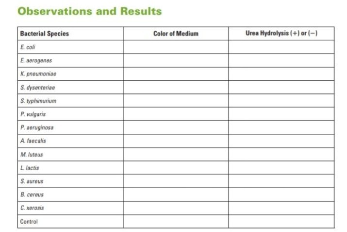 Solved I need the answer for the following bacterial | Chegg.com