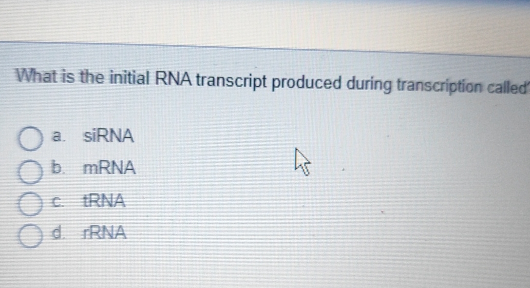 Solved What is the initial RNA transcript produced during | Chegg.com