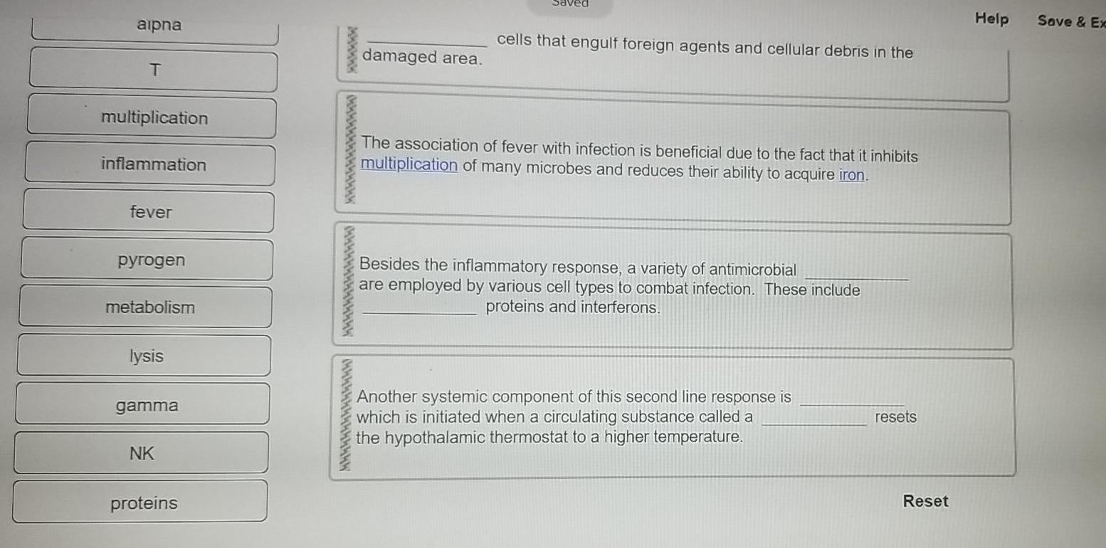 Solved Review important characteristics of the second line | Chegg.com