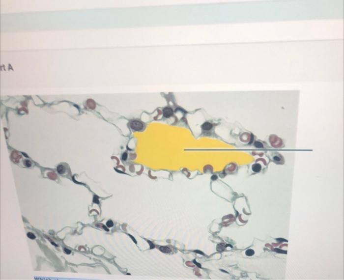 Solved which structure is highlighted | Chegg.com