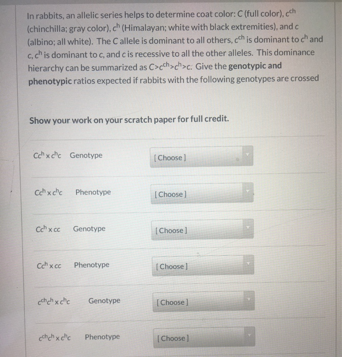 Solved In rabbits, an allelic series helps to determine coat | Chegg.com
