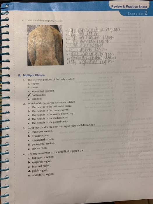 Solved Review & Practice Sheet Exercise 2 emu orot | Chegg.com