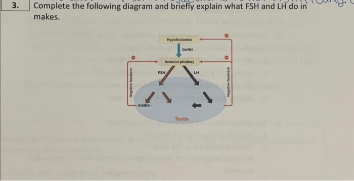 Solved Complete the following diagram and briefly explain | Chegg.com
