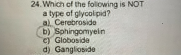 Solved 24. Which of the following is NOT a type of | Chegg.com