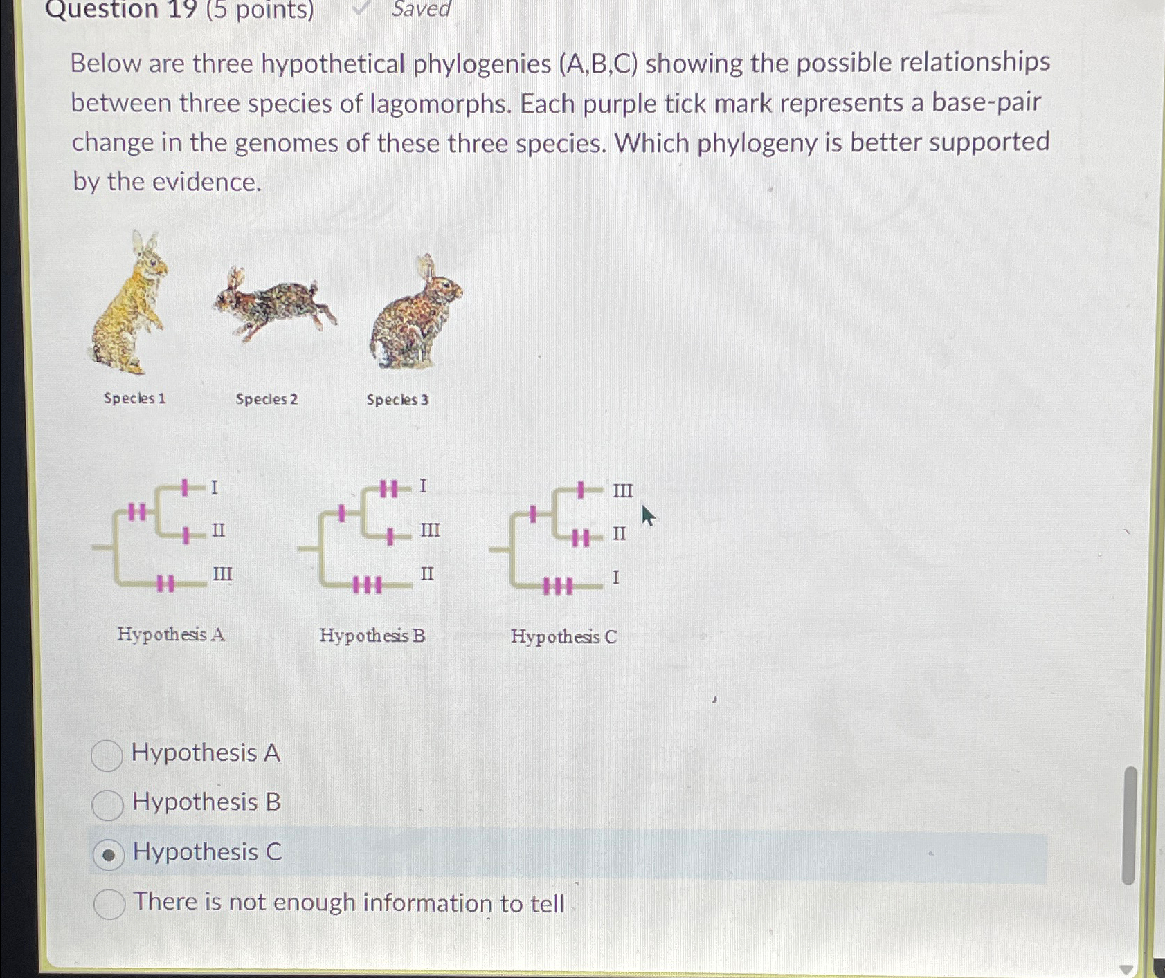 Solved Question 19 (5 ﻿points)SavedBelow are three | Chegg.com