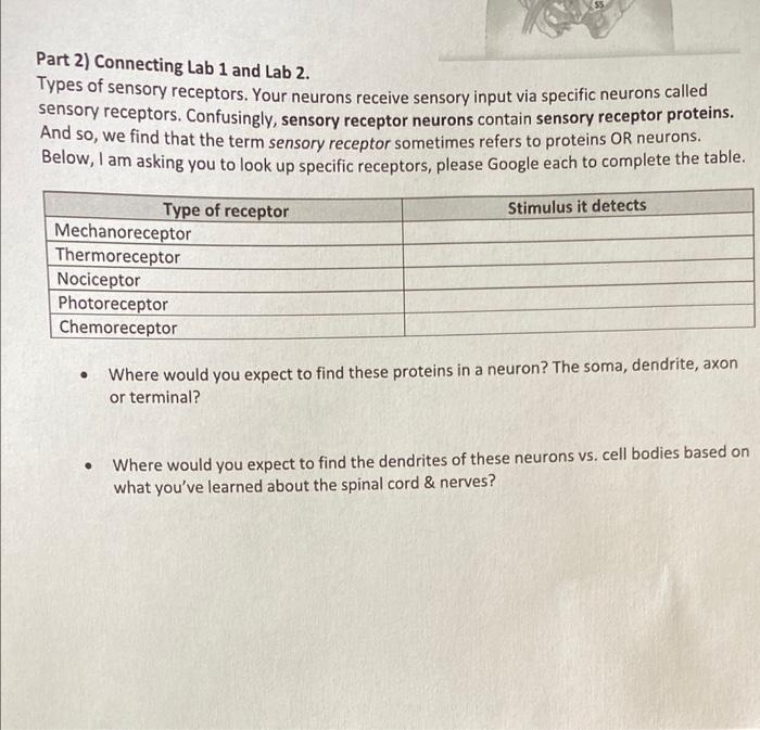 Part 2) Connecting Lab 1 and Lab 2. Types of sensory | Chegg.com