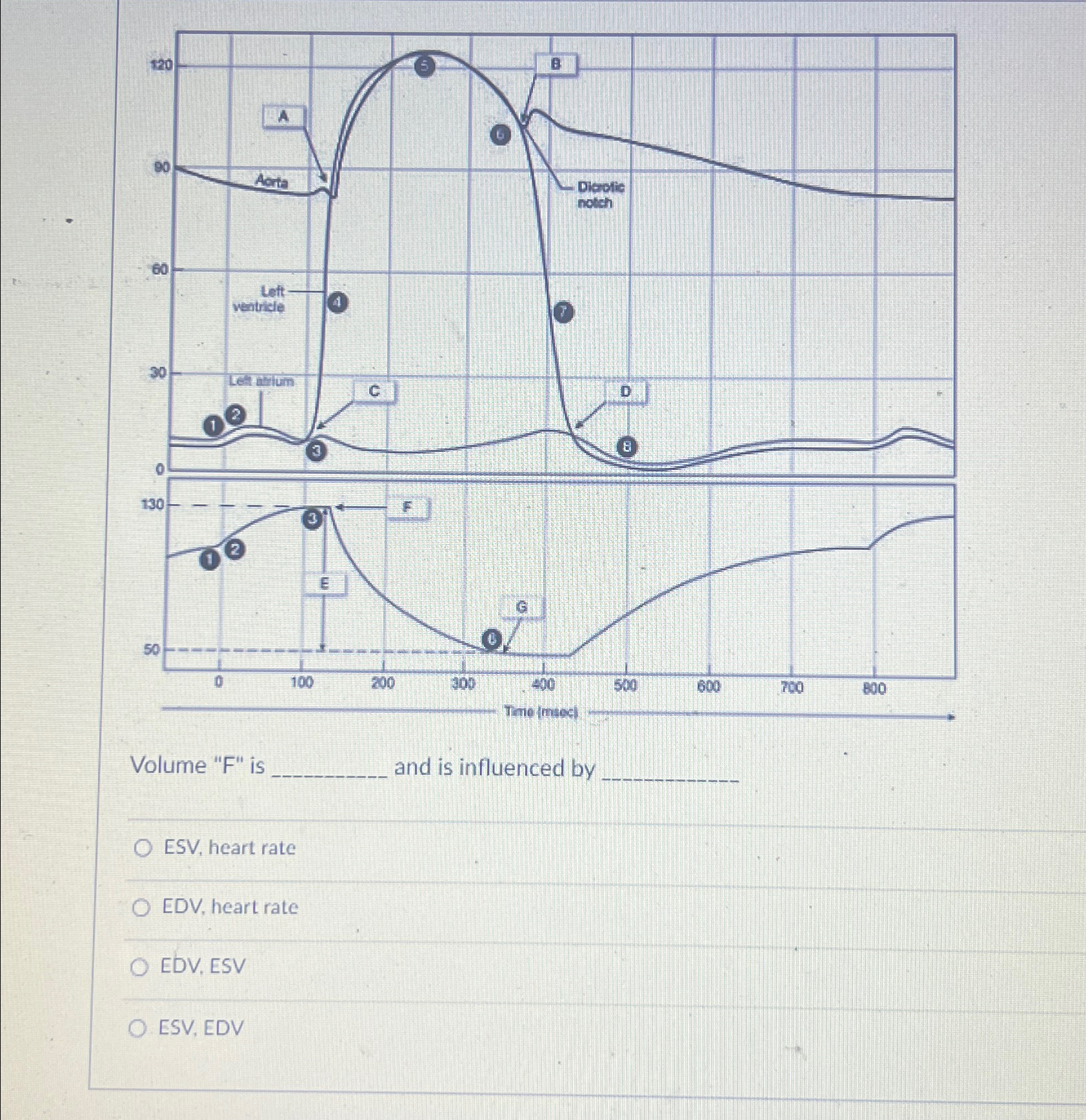 Solved Volume " F " ﻿is and is influenced byESV, heart | Chegg.com