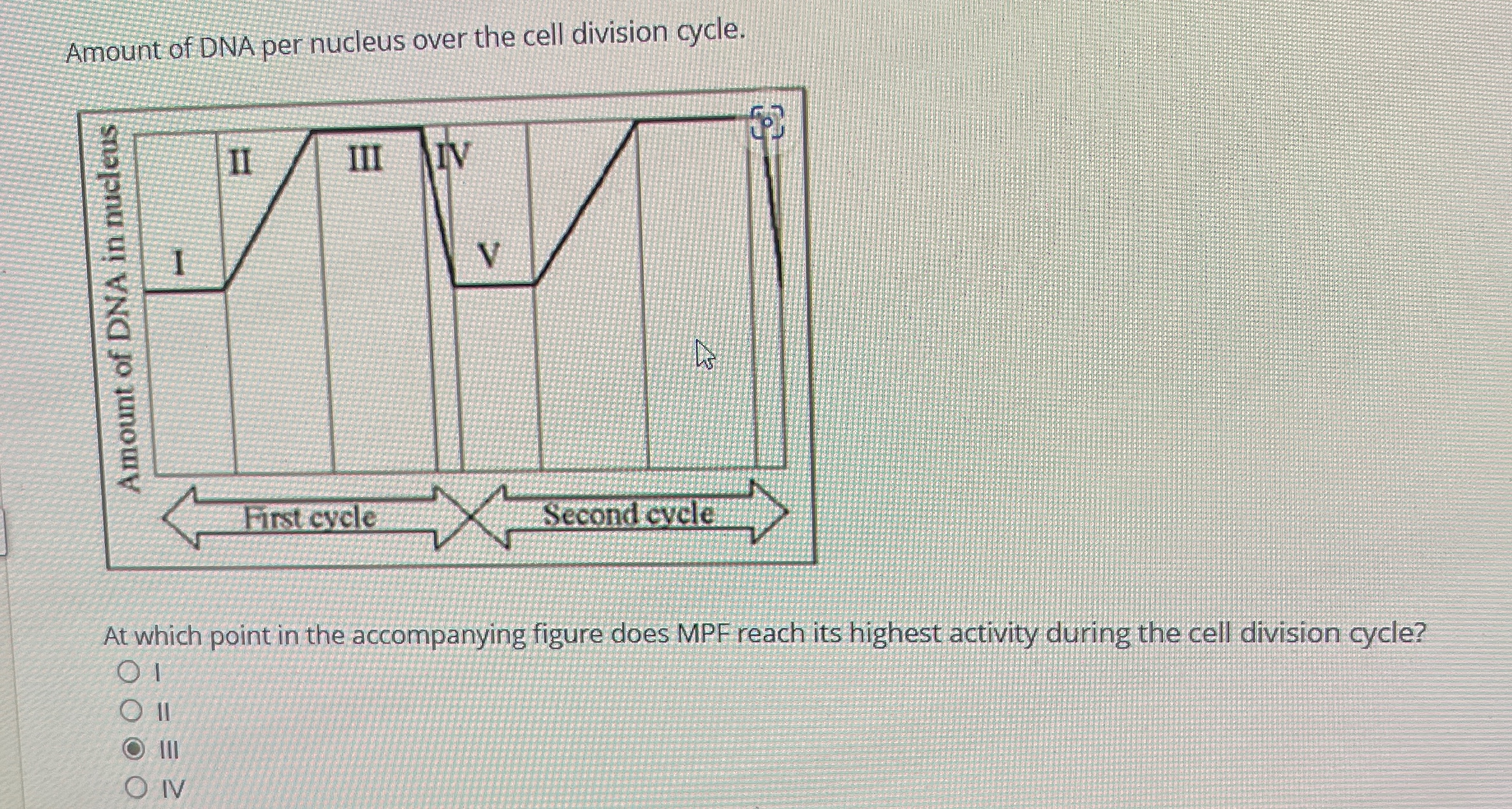 Solved Amount of DNA per nucleus over the cell division | Chegg.com
