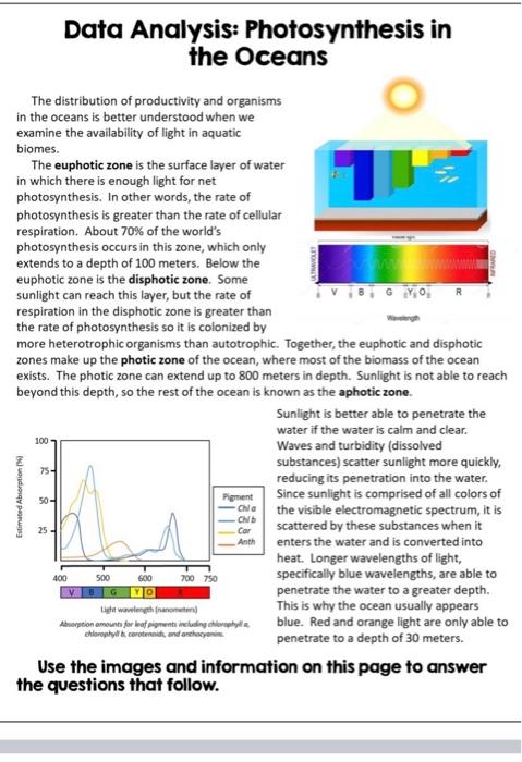 Solved Data Analysis: Photosynthesis in the Oceans The | Chegg.com