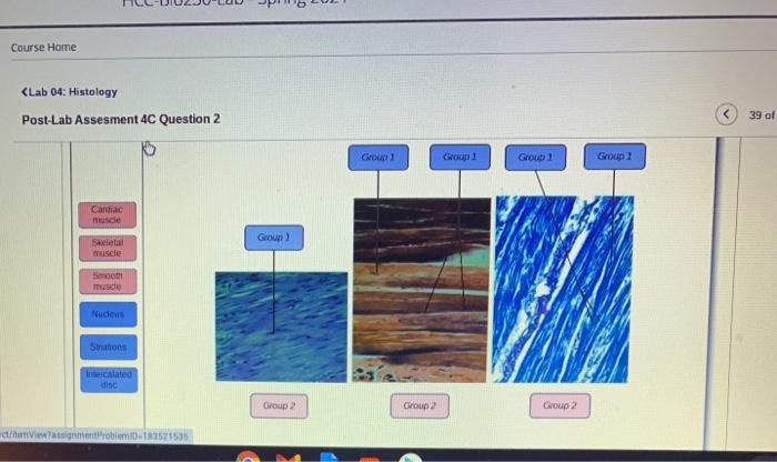 Solved Post-Lab Assesment 4C Question 2 39 of 49 Gr1 G1 | Chegg.com