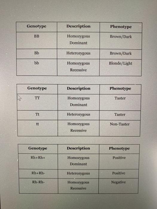 Solved Genotype Description Phenotype BB Brown/Dark | Chegg.com
