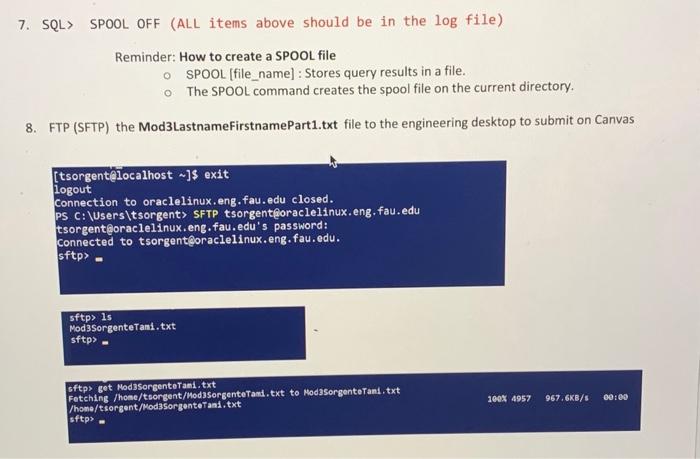Module 3 - Relation Model Assignment with SQL | Chegg.com
