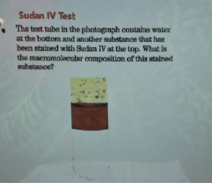 Solved Sudan IV Test The test tube in the photogriph | Chegg.com