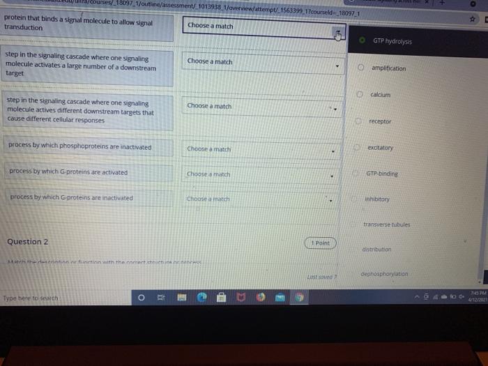 Solved wattempt 1503399 1/coursel 10097.1 Match the | Chegg.com