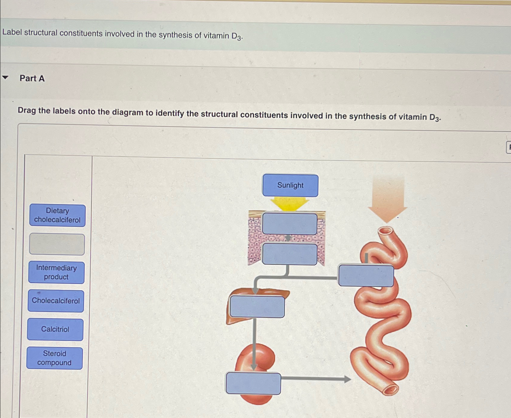 Solved Label structural constituents involved in the | Chegg.com