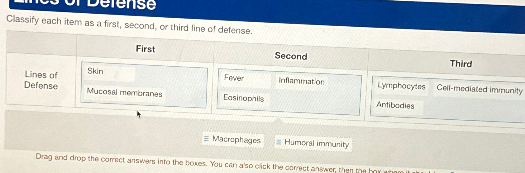Solved Classify each item as a first, second, or third line | Chegg.com