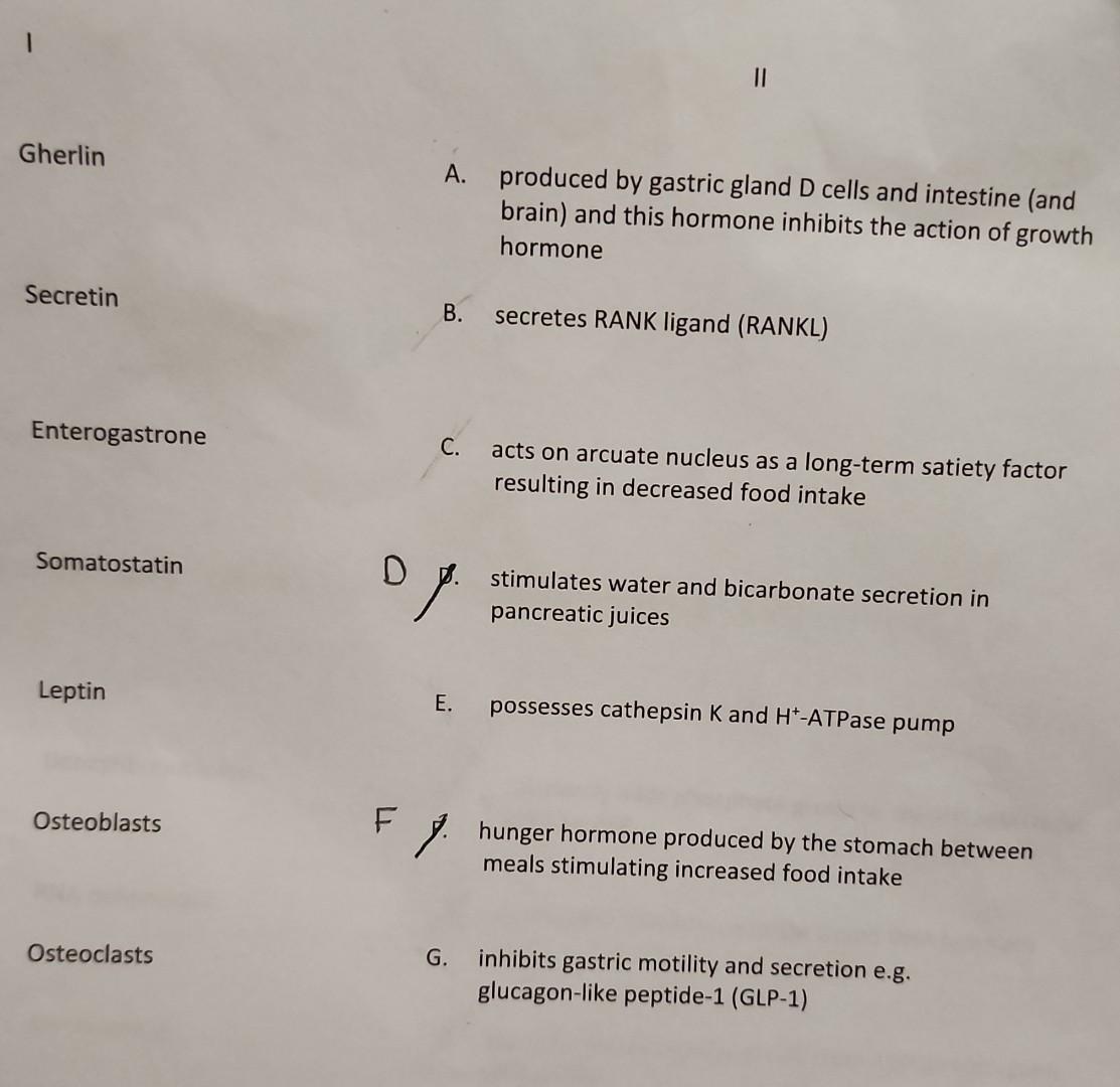 Solved Gherlin A. produced by gastric gland D cells and | Chegg.com