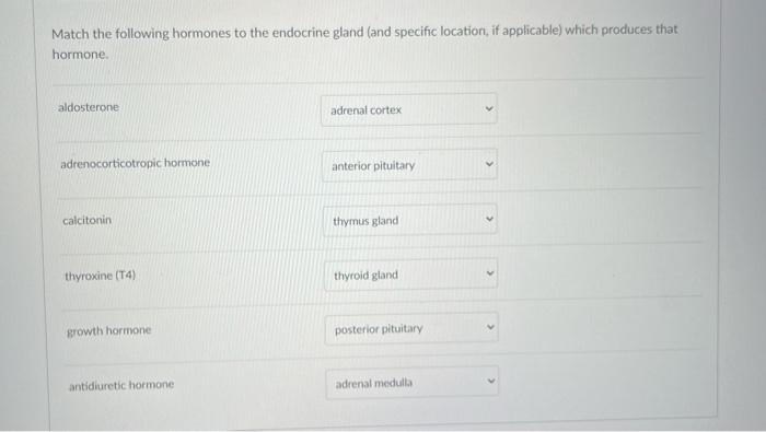 Solved Match the following hormones to the endocrine gland | Chegg.com