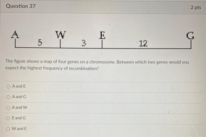 Solved Question 37 2 pts E 5 3 12 The figure shows a map of | Chegg.com