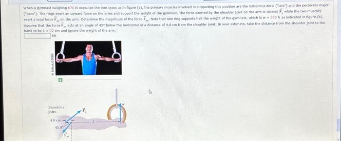 Solved hand to be L=72 cm and ignore the weight of the | Chegg.com
