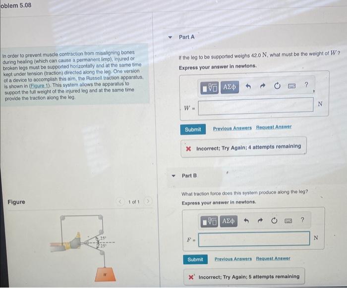 Solved In order to prevent muscle contraction from | Chegg.com