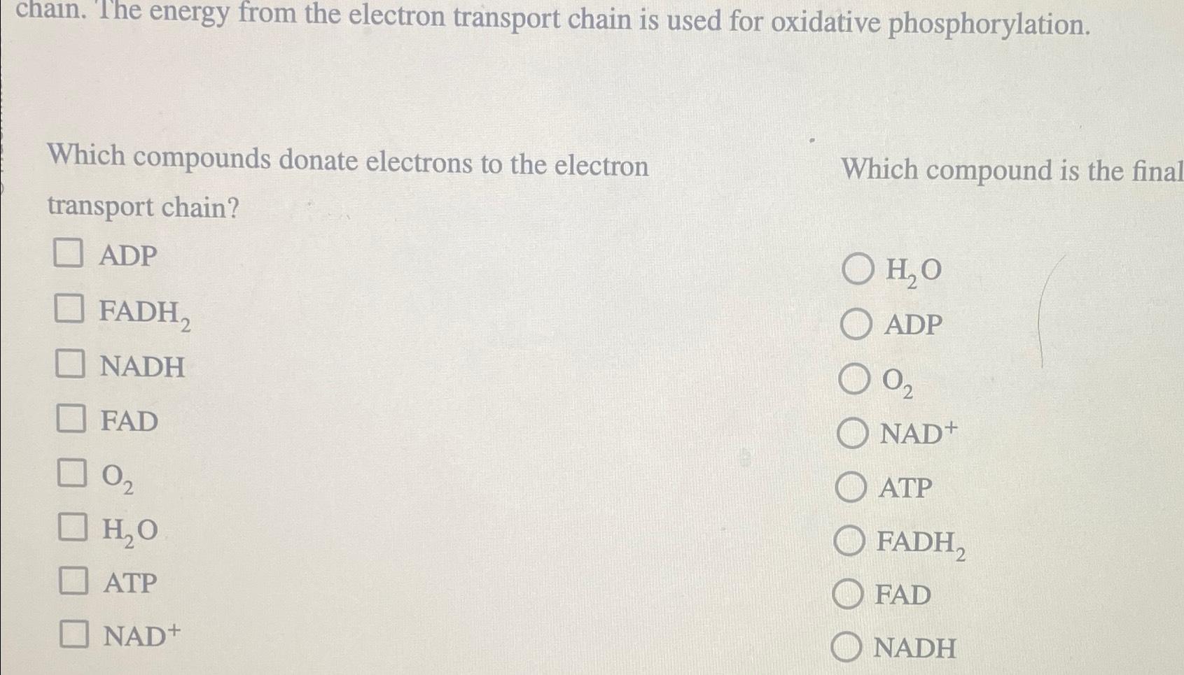 Solved chain. The energy from the electron transport chain | Chegg.com