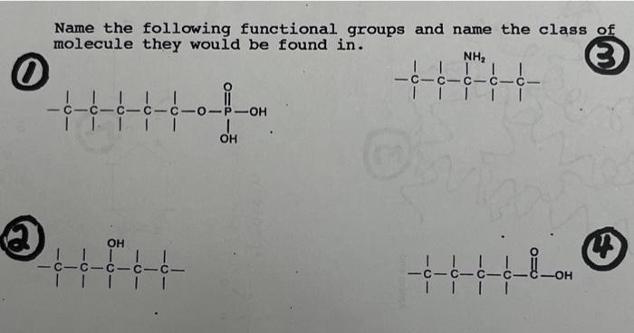 Solved Name the following functional groups and name the | Chegg.com